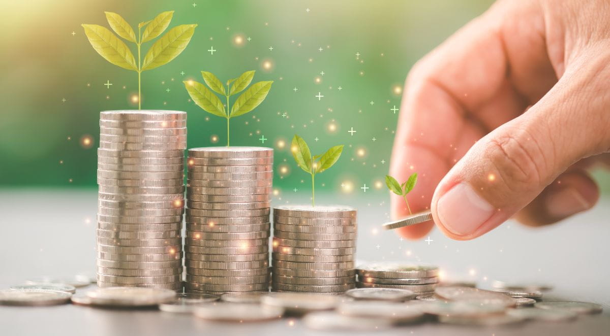 Sustainability & the New Economics: Boundaries which should not be ...