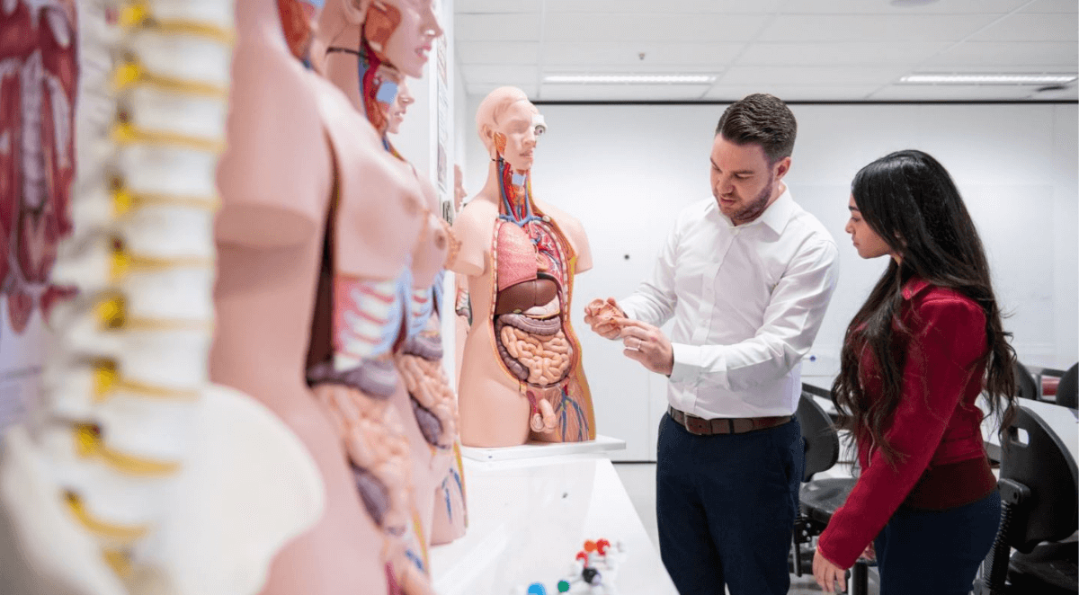 Upgrade your Diploma to a Bachelor qualification